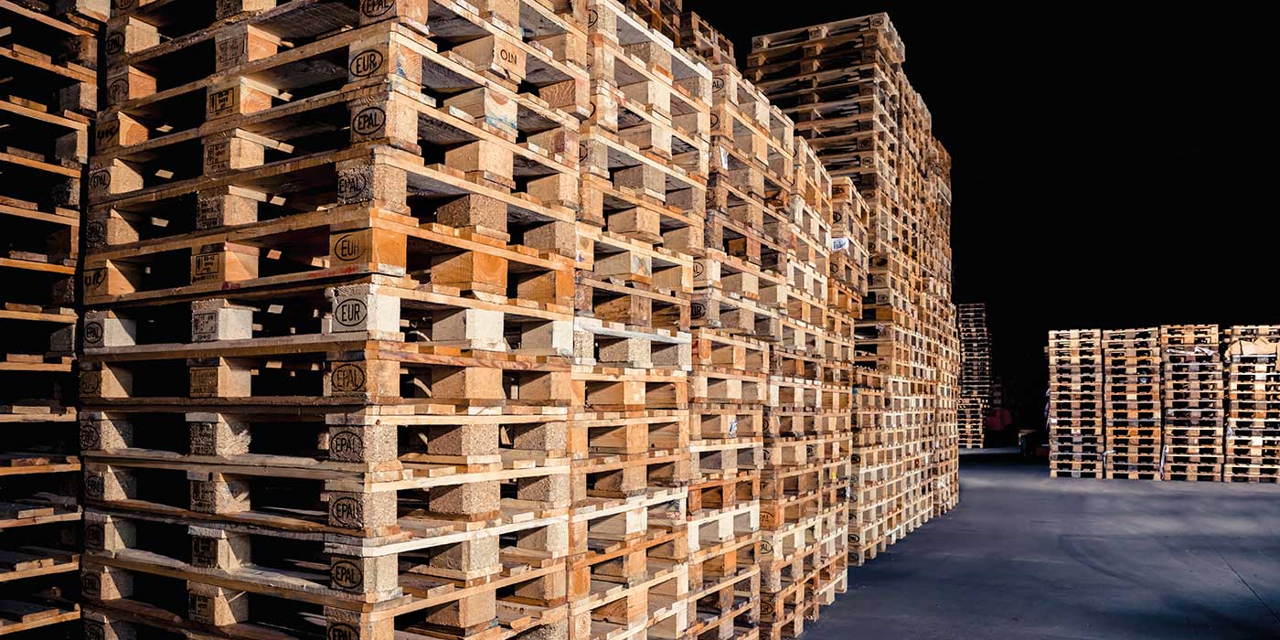 Évolution du marché de la palette | BURBAN PALETTES